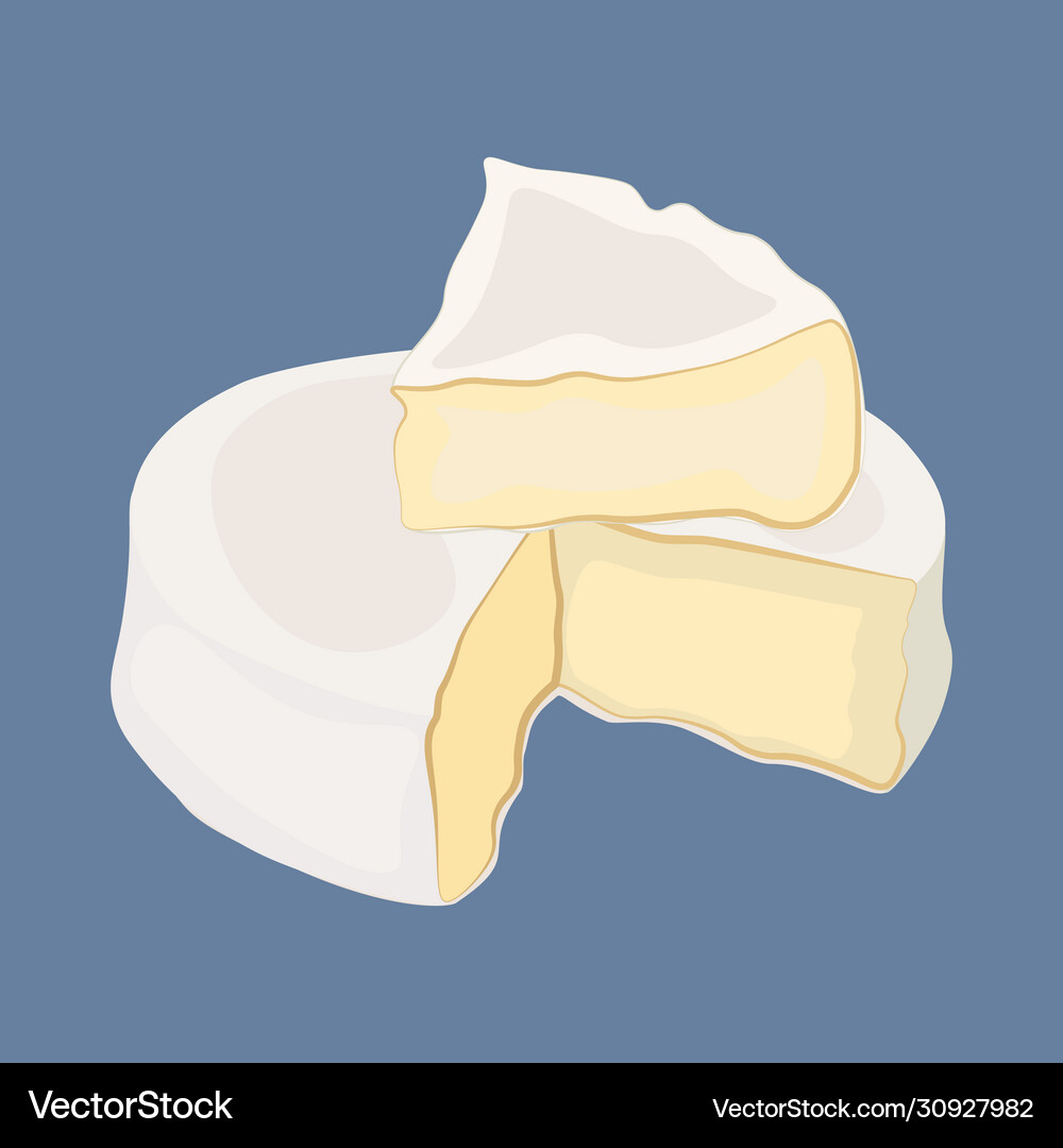 Camembert cheese organic dairy product Royalty Free Vector