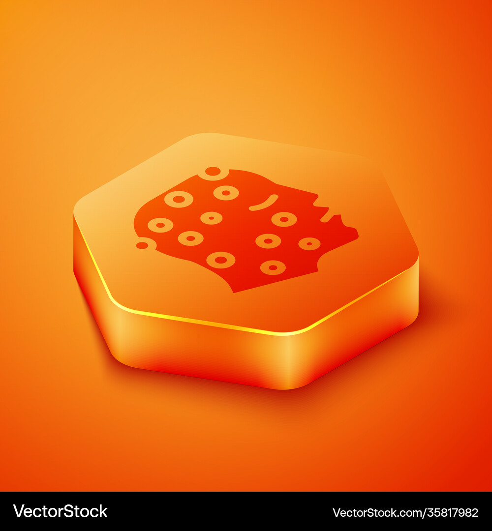 Isometric face with psoriasis or eczema rash icon Vector Image