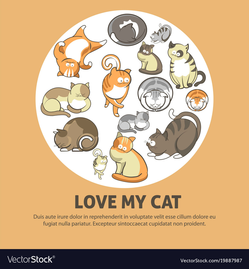 Love my cat promotional poster with cute pets Vector Image