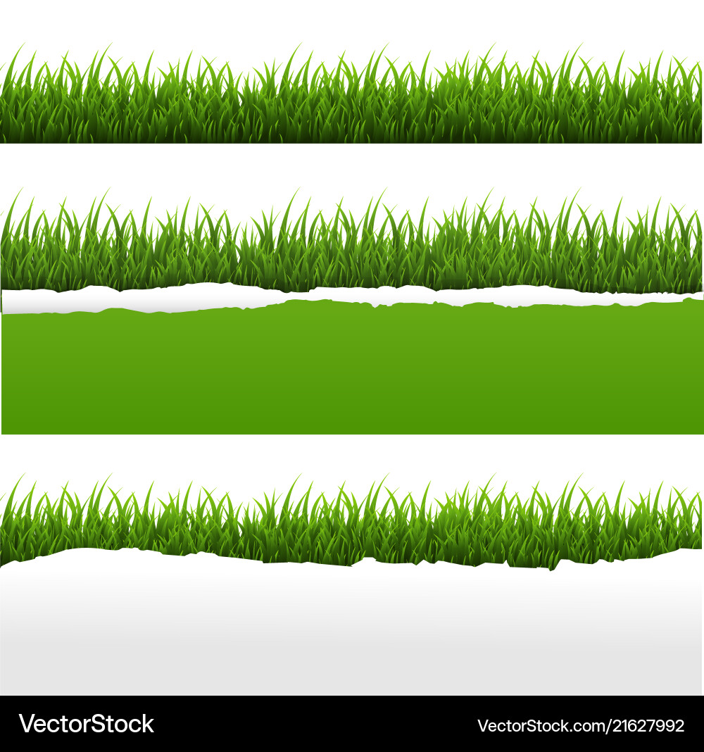 Green grass and ripped paper white background set Vector Image