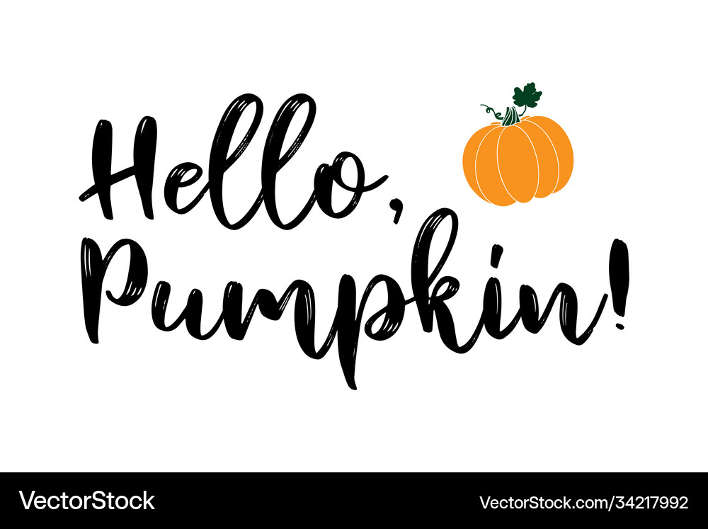 Hand sketched hello pumpkin quote as banner Vector Image