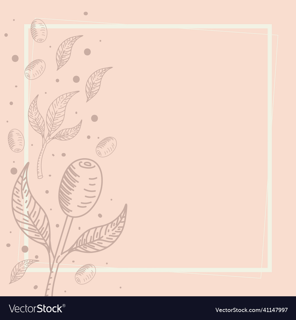 Background with olive leaf tree Royalty Free Vector Image