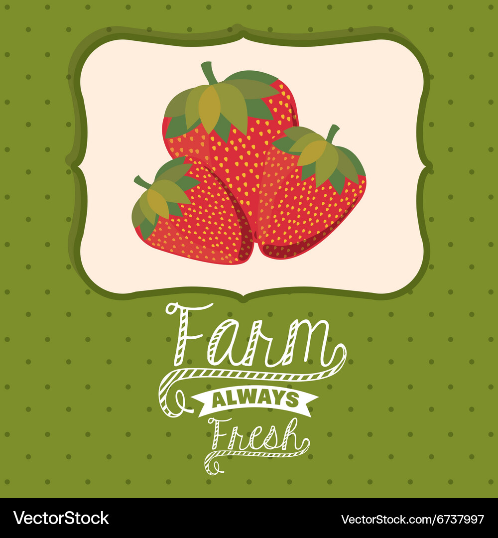 Farm fresh food design Royalty Free Vector Image