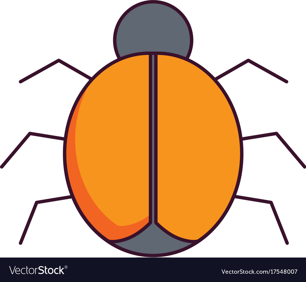 Bug icon image Royalty Free Vector Image - VectorStock