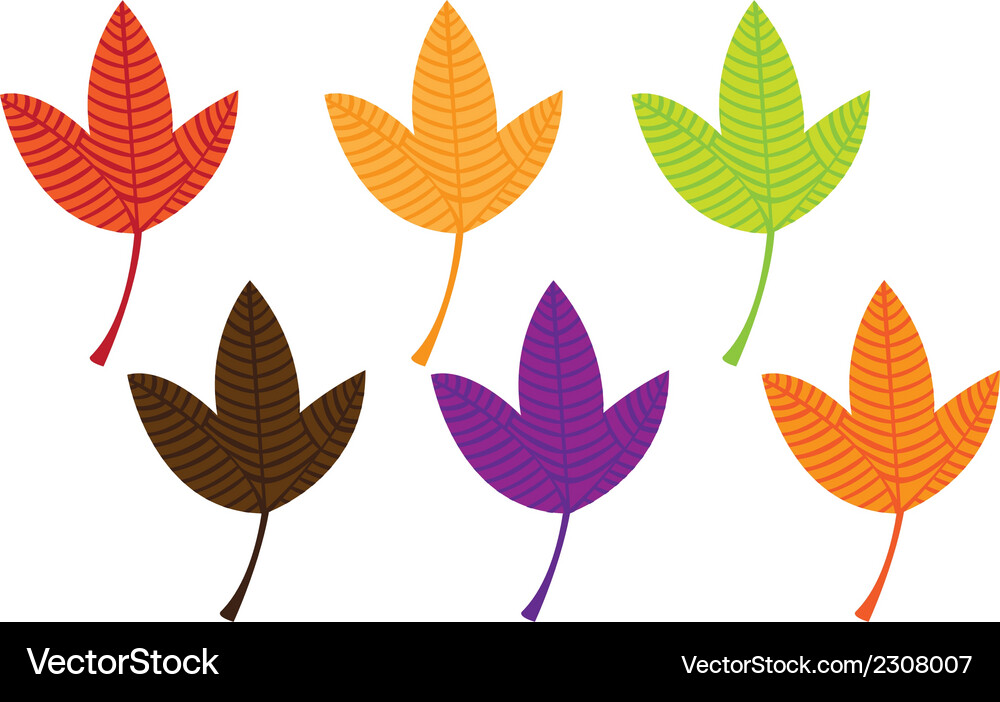 Colorful leaves isolated over white background Vector Image