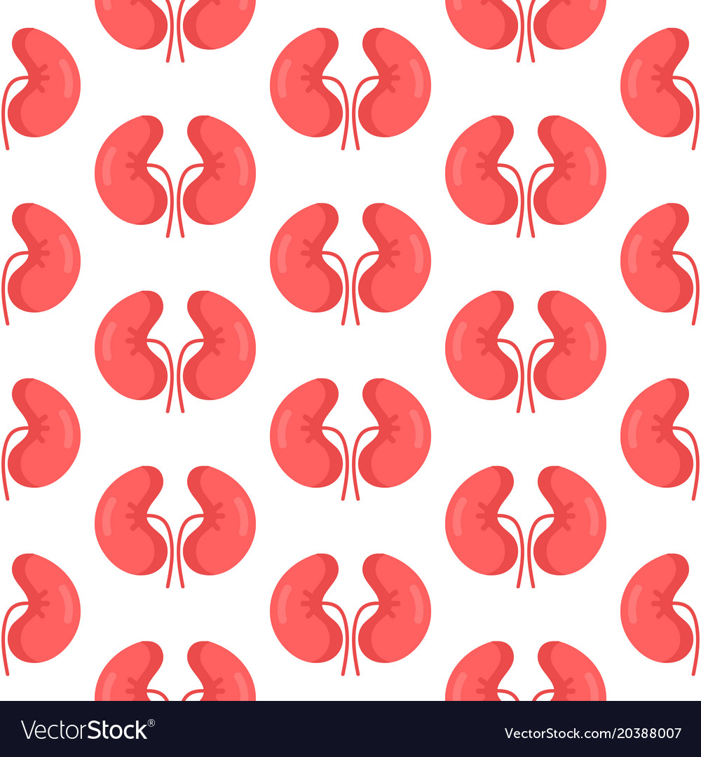 Seamless pattern background with kidneys Vector Image