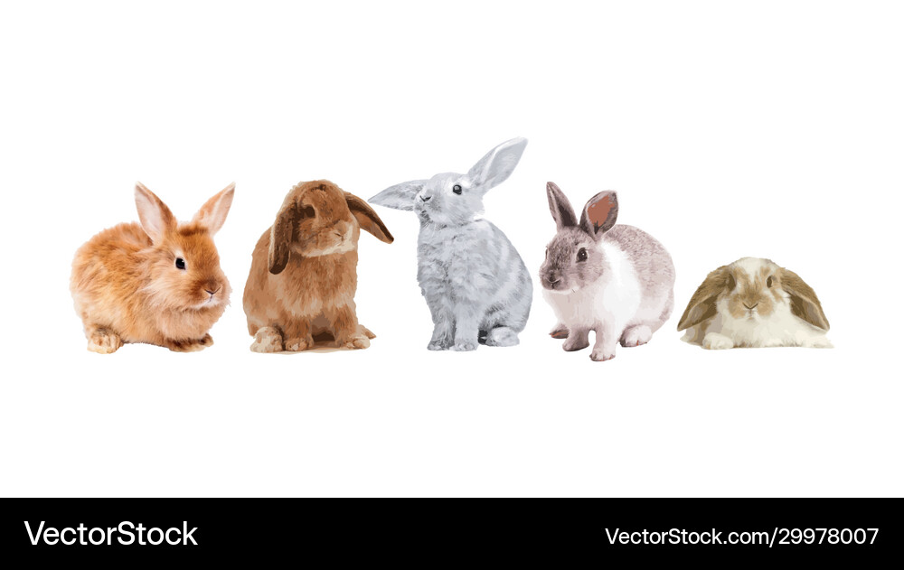Set cute and funny rabbits in style Royalty Free Vector
