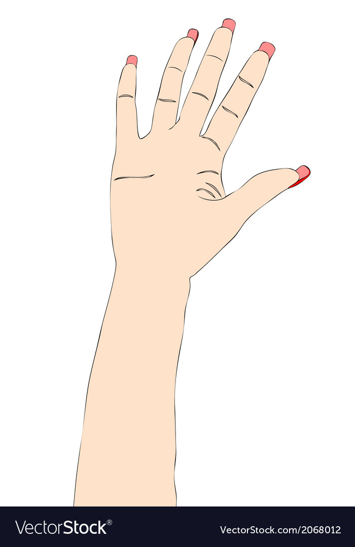 Number five Royalty Free Vector Image - VectorStock