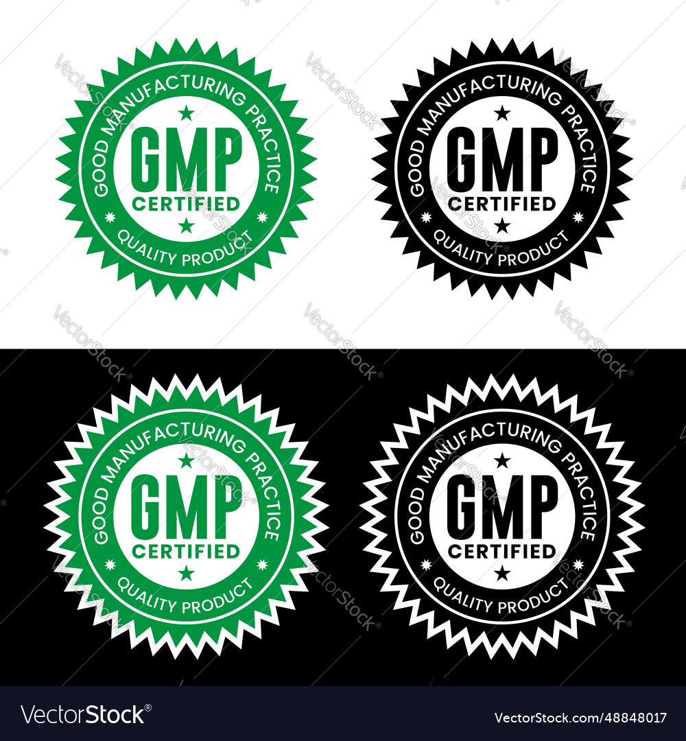 Gmp good manufacturing practice certified logo Vector Image