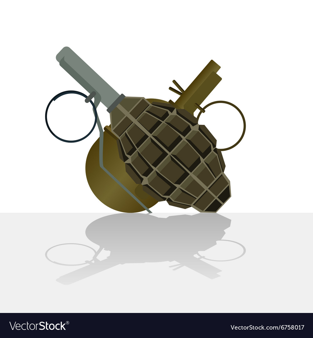 Grenades Royalty Free Vector Image - VectorStock