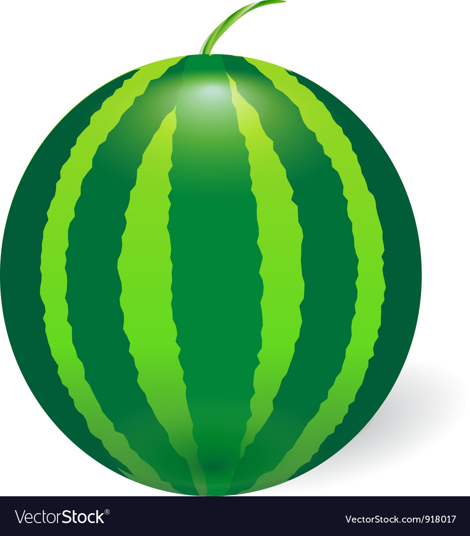 Watermelon Royalty Free Vector Image - VectorStock