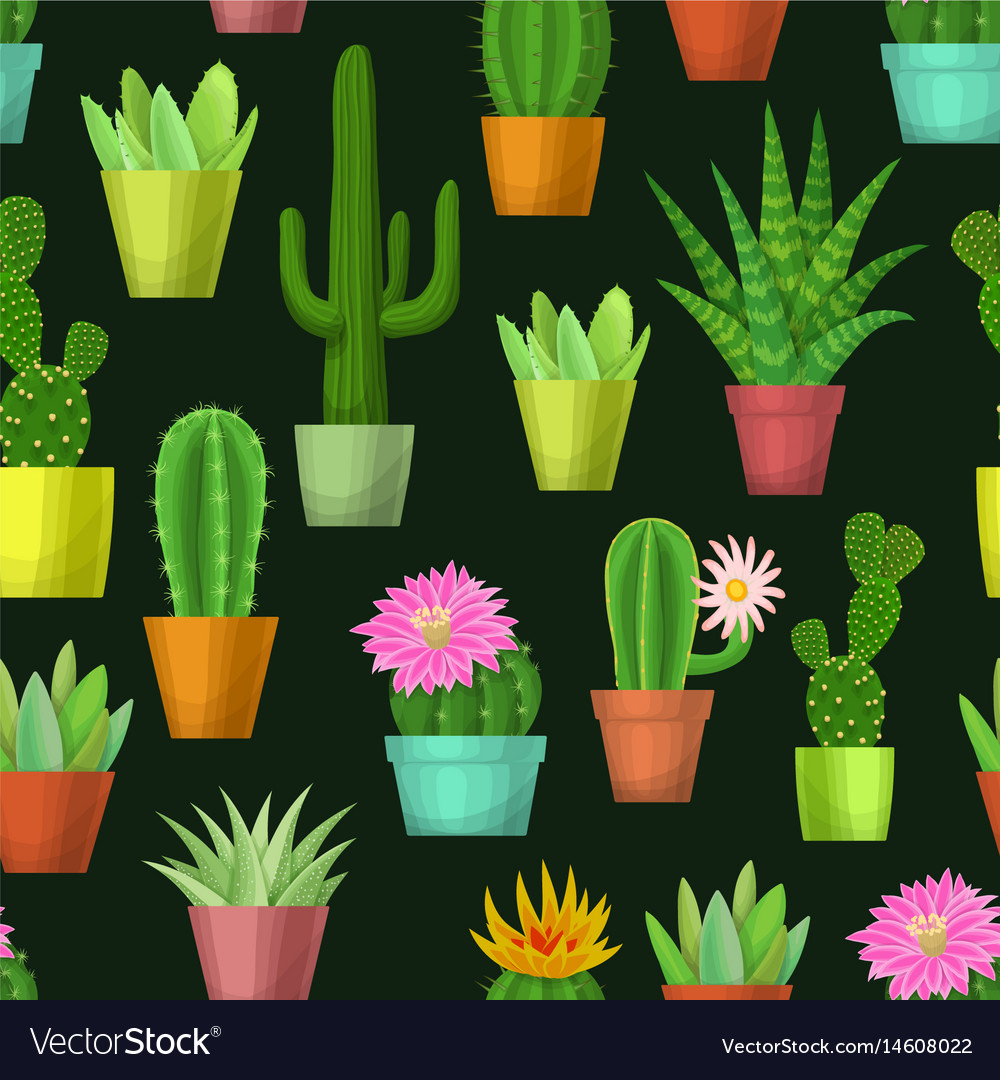 Cactus and succulent seamless pattern Royalty Free Vector
