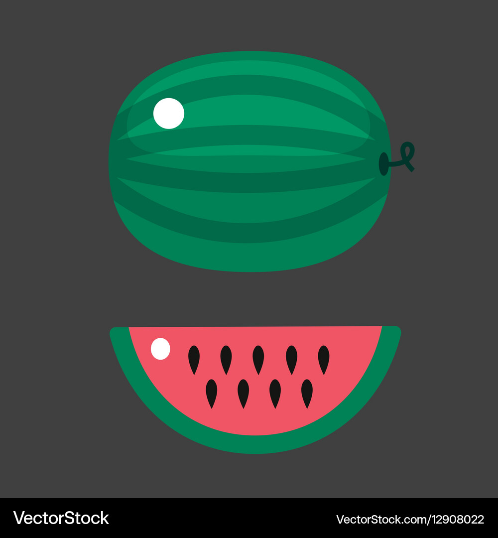 Ripe striped watermelon isolated on white Vector Image