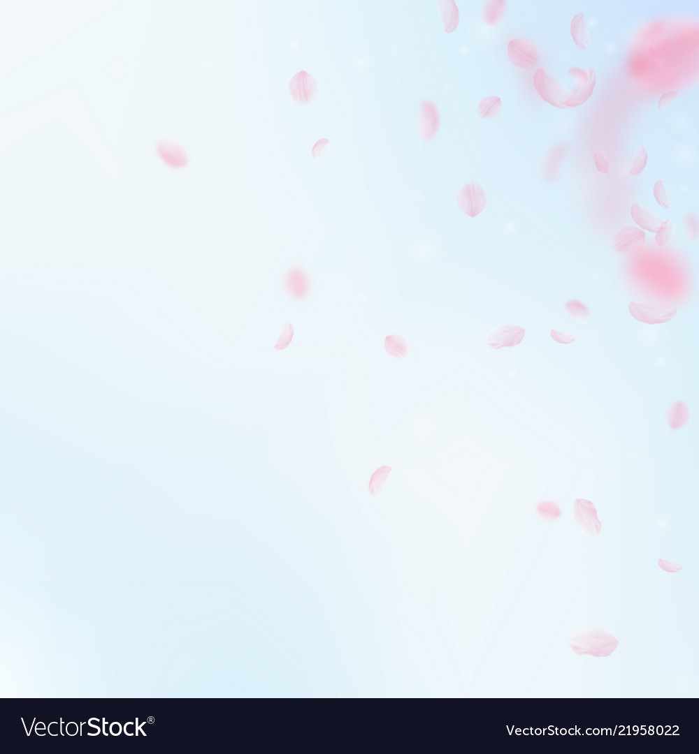 Sakura petals falling down Royalty Free Vector Image