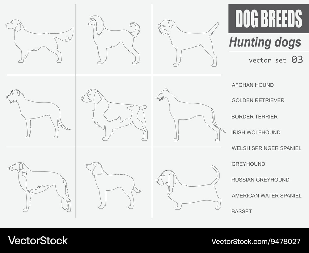 Dog breeds hunting set icon flat style Royalty Free Vector