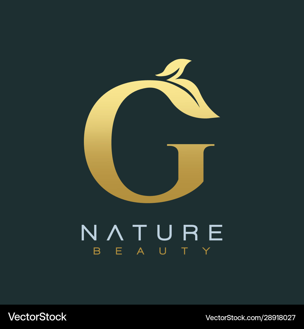 Letter g luxury logo design icon Royalty Free Vector Image