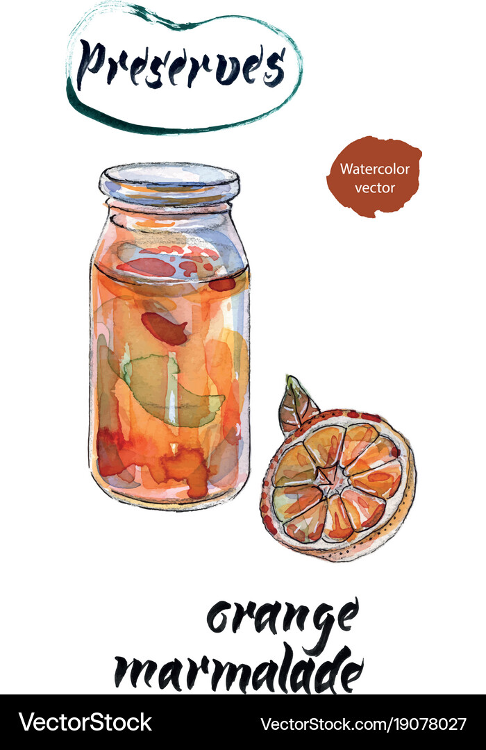Orange marmalade watercolor Royalty Free Vector Image