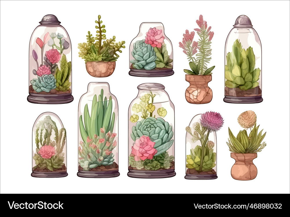 Succulent plants isolated on background cartoon Vector Image