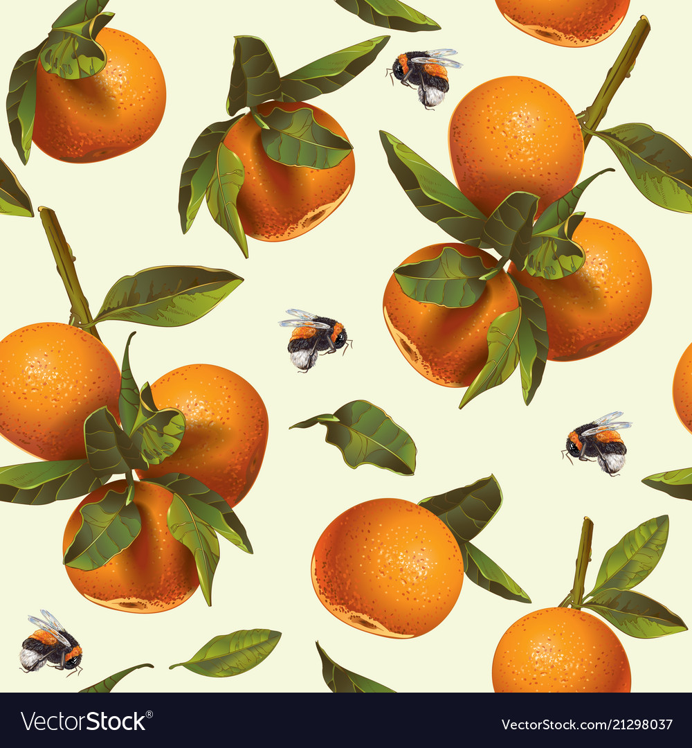 Mandarin fruit pattern Royalty Free Vector Image