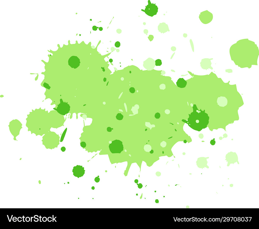 Watercolor splash in green on white background Vector Image