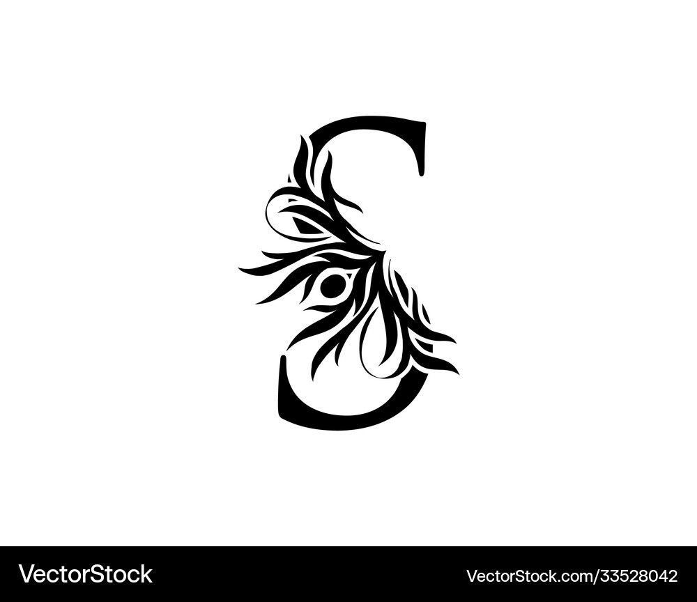 Calligraphy letter s graceful royal style Vector Image