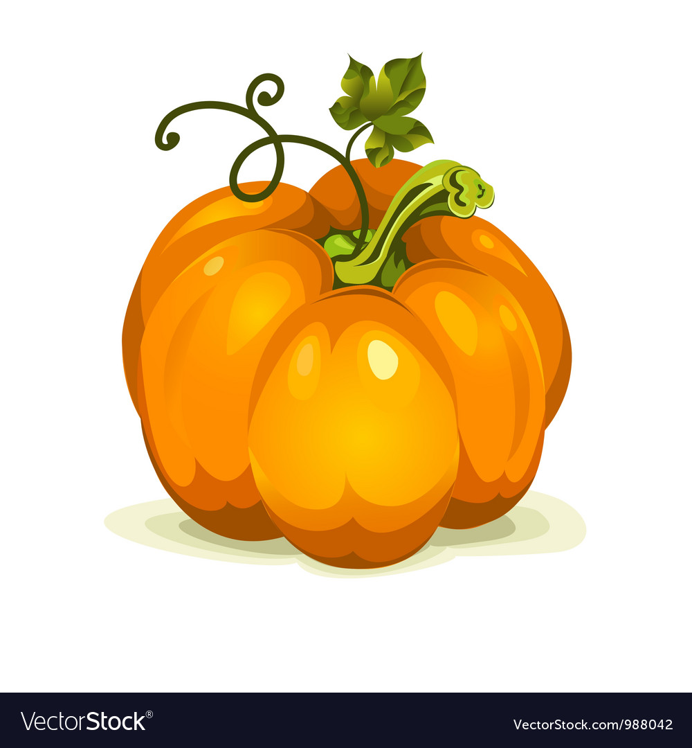 Pumpkin Royalty Free Vector Image - VectorStock