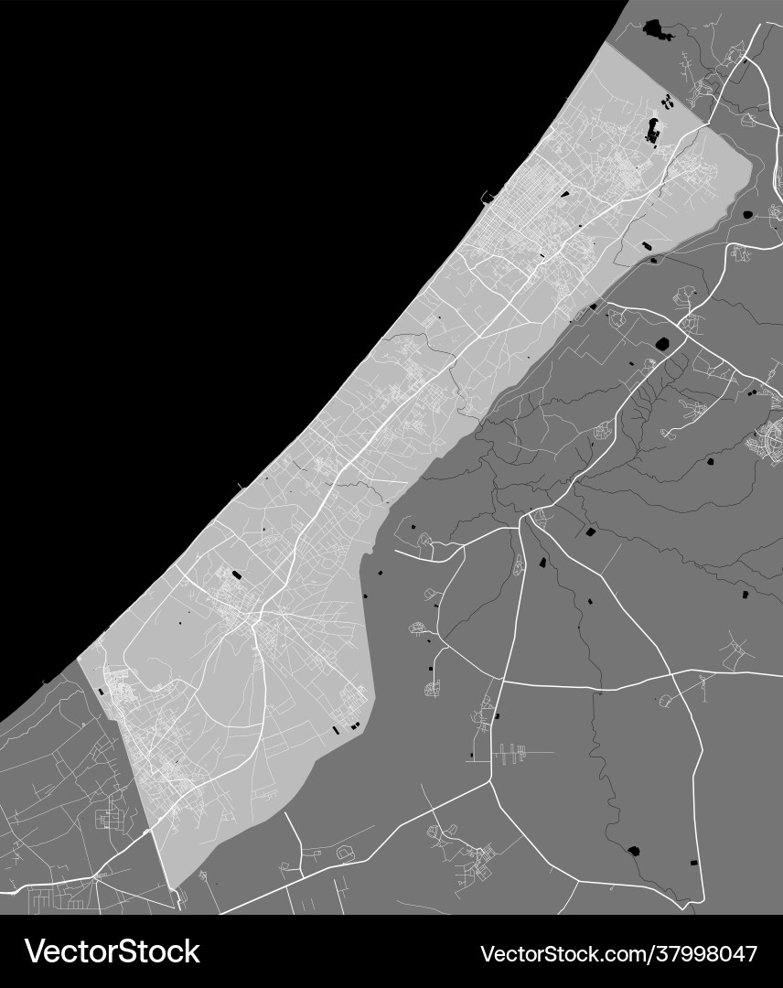 Detailed map gaza strip linear print land Vector Image