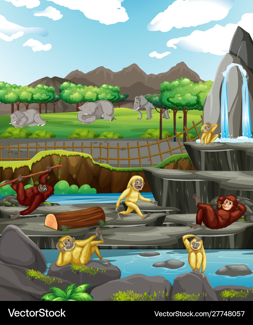 Scene with animals at zoo Royalty Free Vector Image