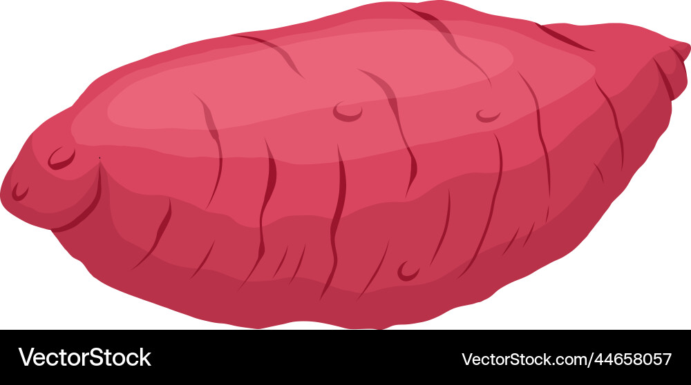 Sweet potato cartoon Royalty Free Vector Image