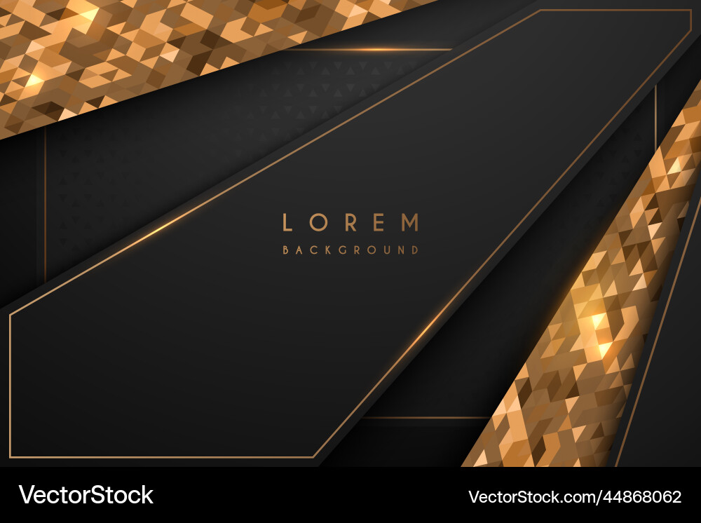 Abstract black and gold luxury background Vector Image