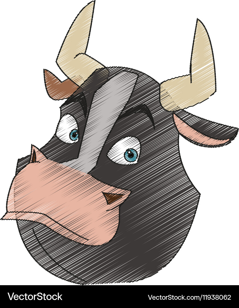 Isolated bull cartoon design Royalty Free Vector Image