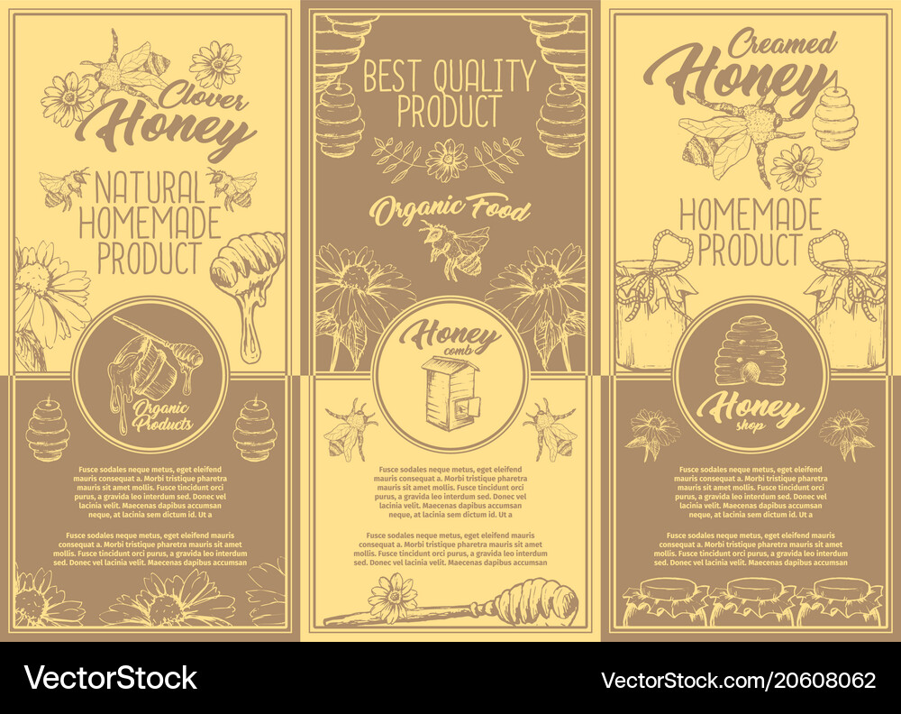 Set isolated stickers labels for clover honey Vector Image