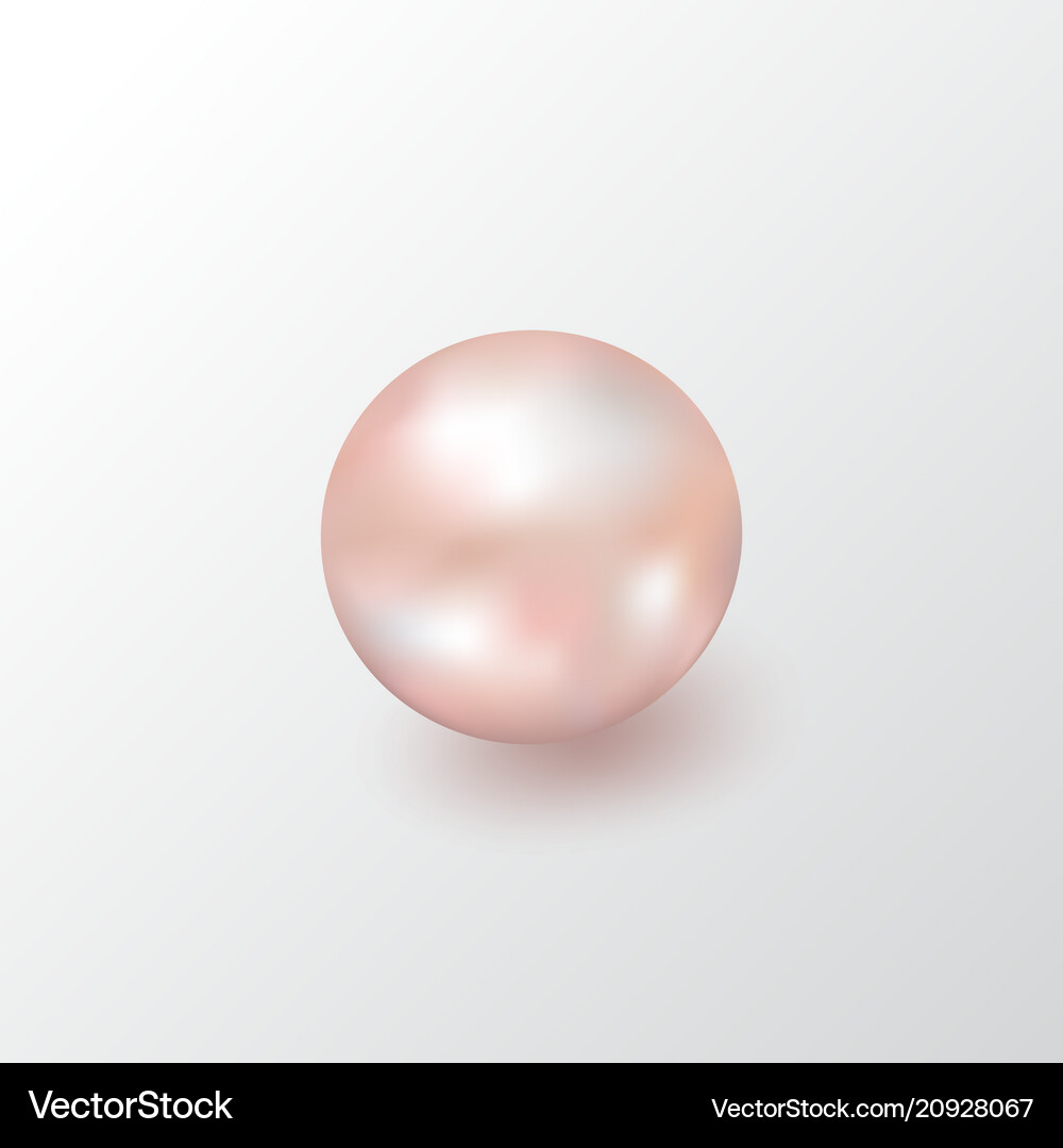 Beautiful shiny sea pearl Royalty Free Vector Image