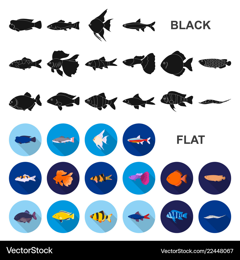 Different types of fish flat icons in set Vector Image