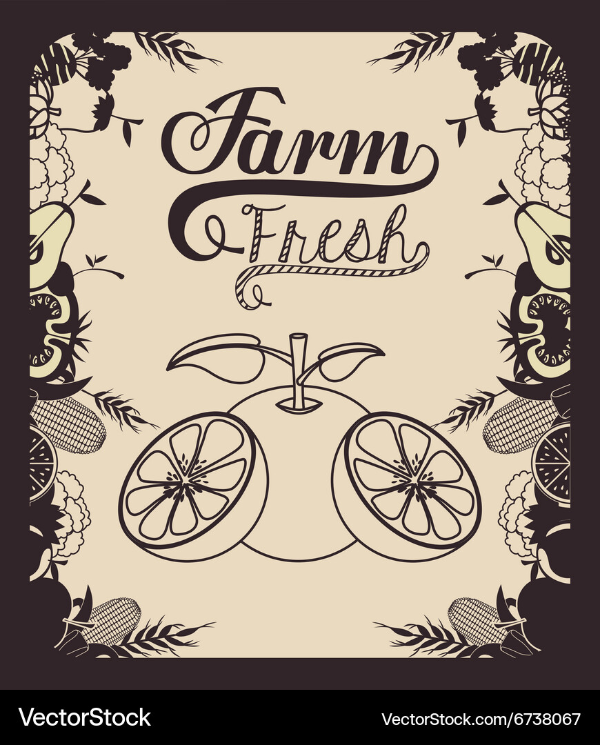 Farm fresh food design Royalty Free Vector Image
