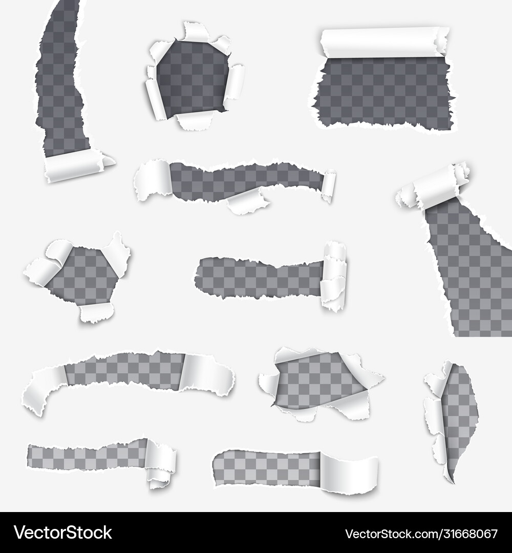 Paper torn rips holes and rolled flaps realistic Vector Image