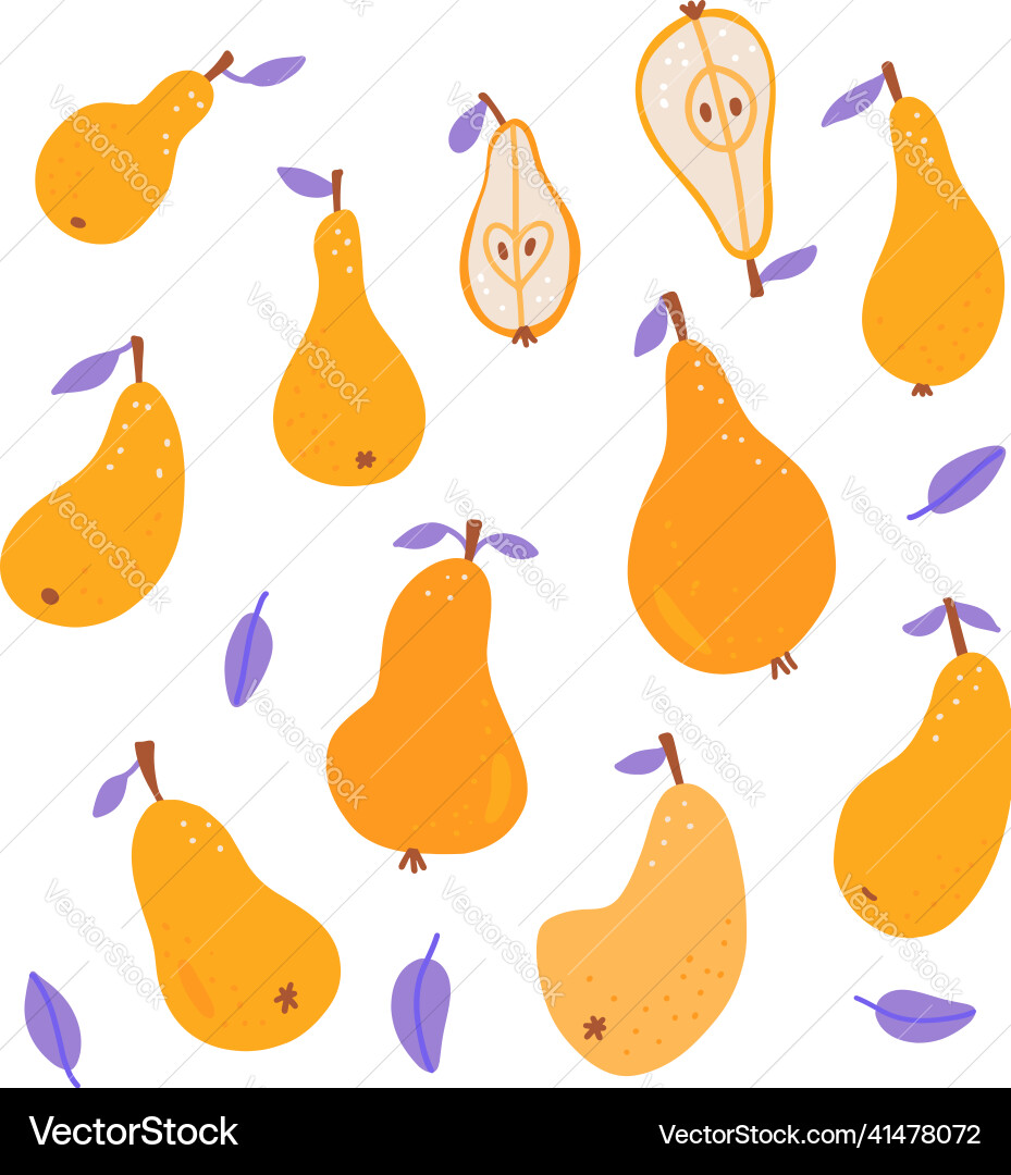 Big set with pear and pears slices leaves Vector Image