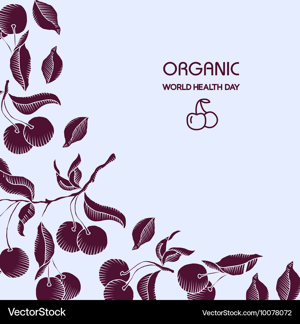 Cherry branch with cherries and leaves background Vector Image