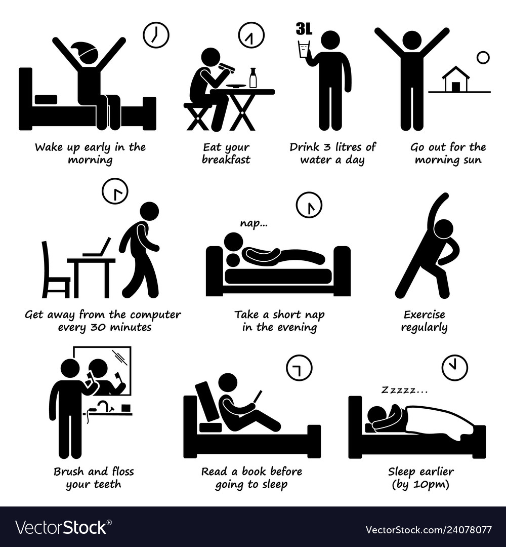 Healthy Lifestyles Daily Routine Tips Stick Vector Image