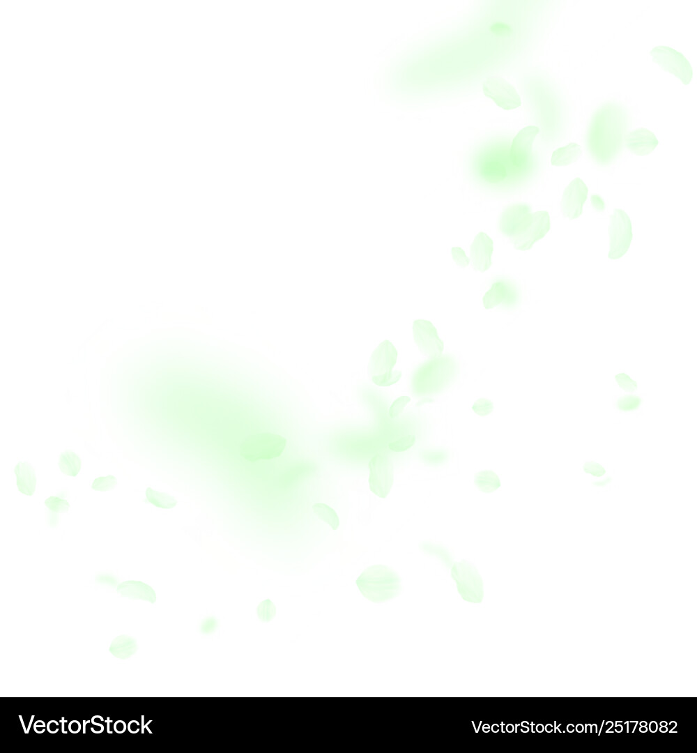 Green flower petals falling down fresh romantic f Vector Image