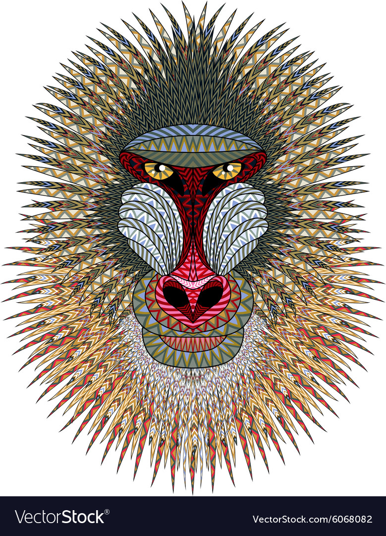 Mandrill Royalty Free Vector Image - VectorStock