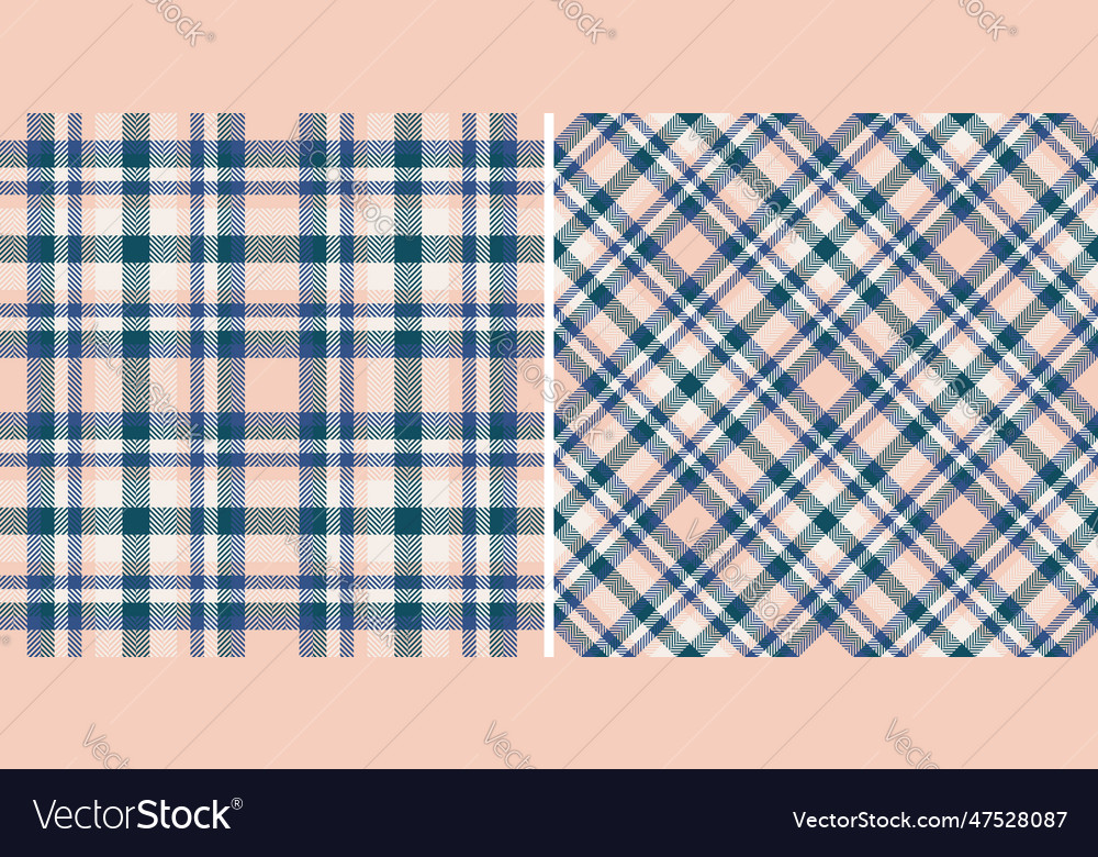 Background check pattern of tartan plaid Vector Image