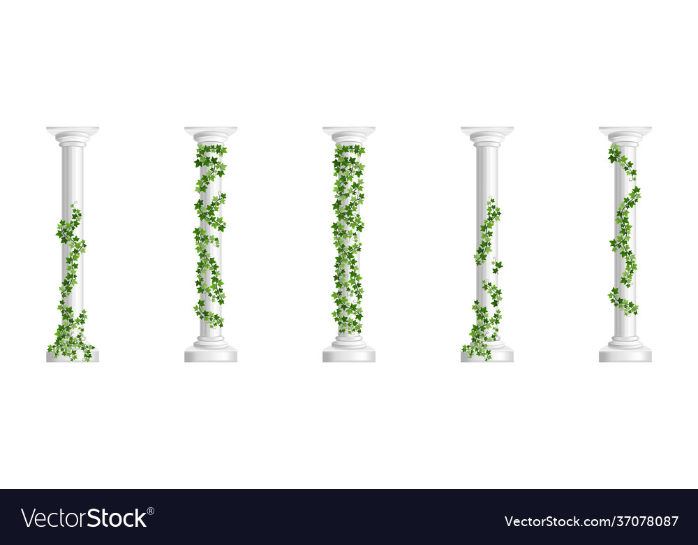 Marble greek columns with green ivy creeper Vector Image Marble greek columns with green ivy creeper Vector Image