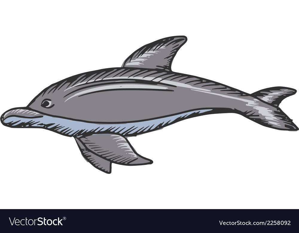 Dolphin Royalty Free Vector Image - VectorStock