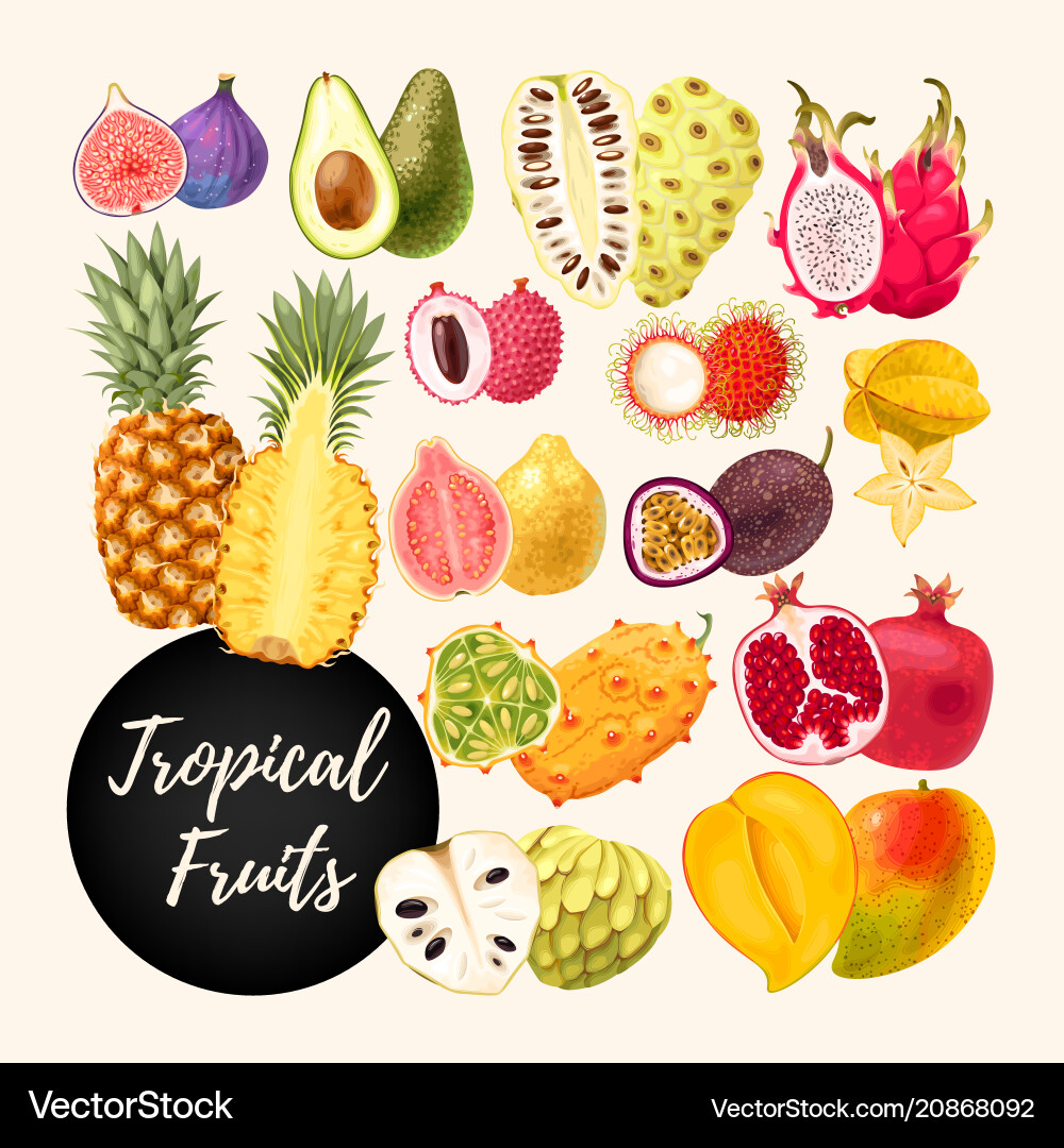 Set tropical fruits Royalty Free Vector Image - VectorStock