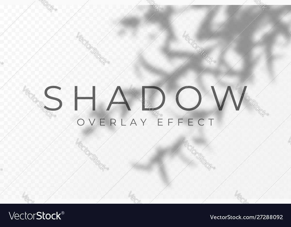 Shadow overlay effect transparent soft light Vector Image