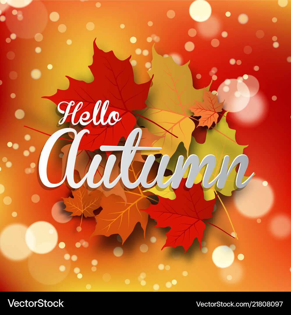 Autumn background with leaves back to school Vector Image