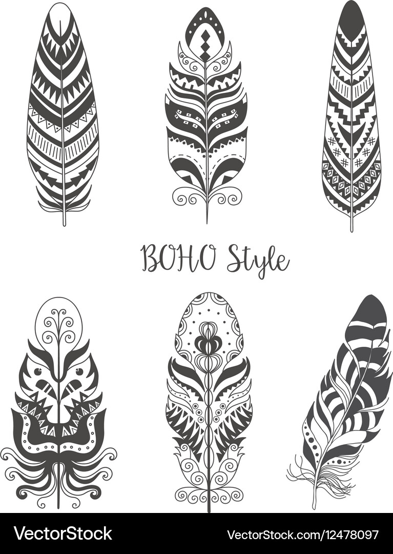 Set of decorative bird feather for boho style Vector Image
