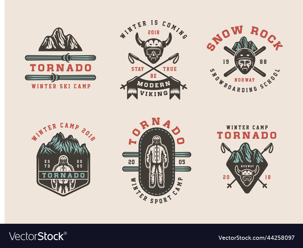 Set of vintage snowboarding ski or winter sports Vector Image