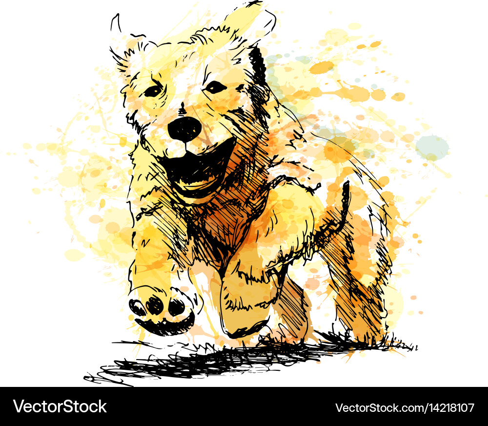 Colored hand sketch running puppy Royalty Free Vector Image